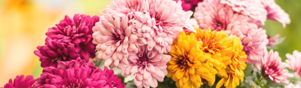 Boiled Fruit Cake Recipe for Mother’s Day - Caroline Rowe